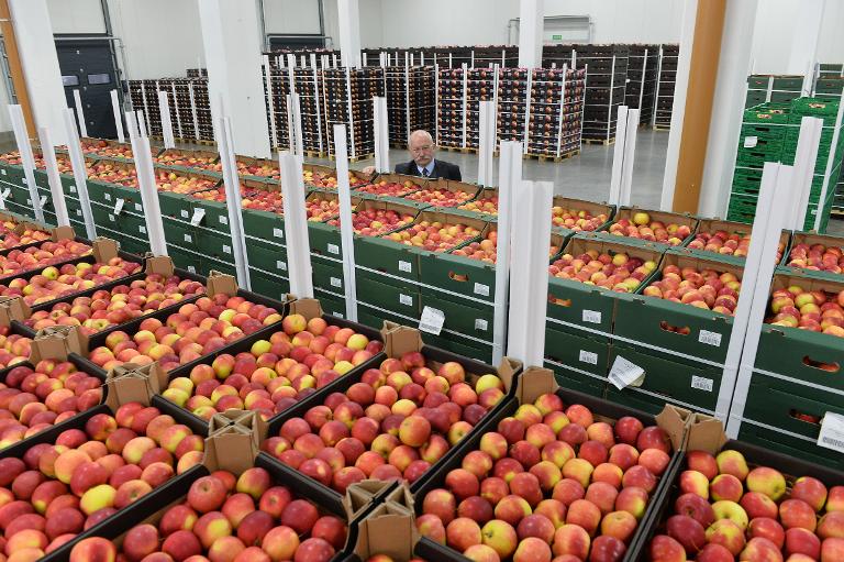 Boli care apar la fructele si legumele depozitate - Sănătatea Plantelor