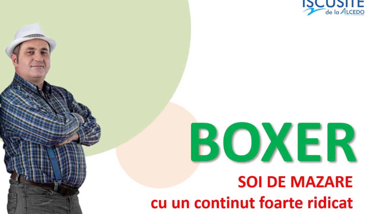 BOXER – soi de mazare cu un continut foarte ridicat de proteina in bob ...