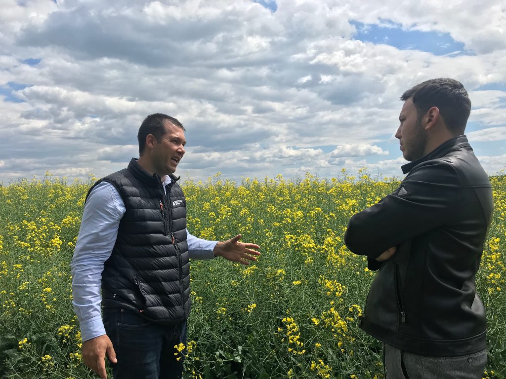 Andrei Ciocoiu_CMM Oilseeds Romania Corteva - Sănătatea Plantelor