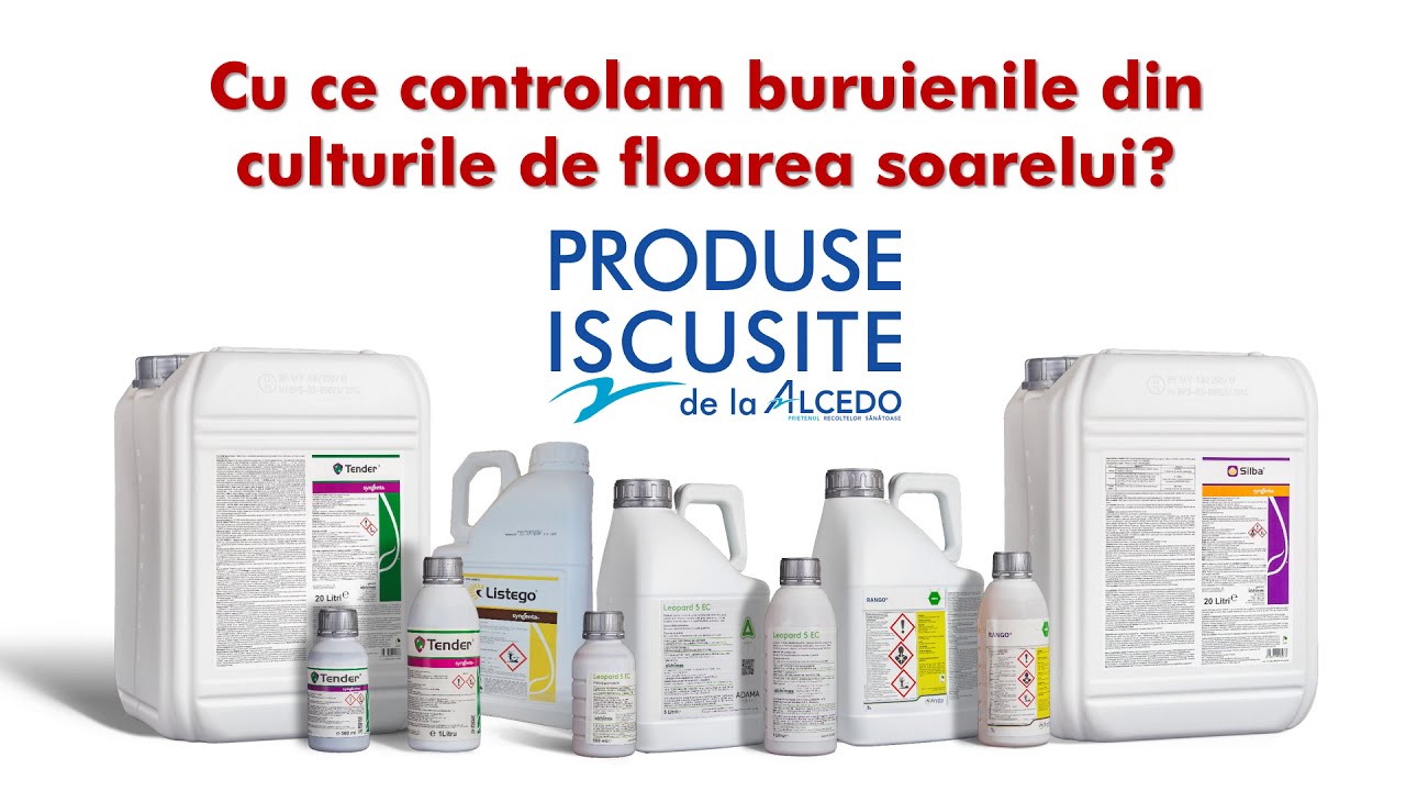 Combaterea buruienilor la floarea soarelui, vitala in primele faze de vegetatie! - Sănătatea ...