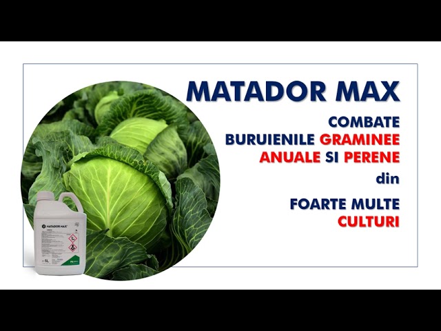 Combate buruienile monocotiledonate anuale si perene cu MATADOR MAX ...