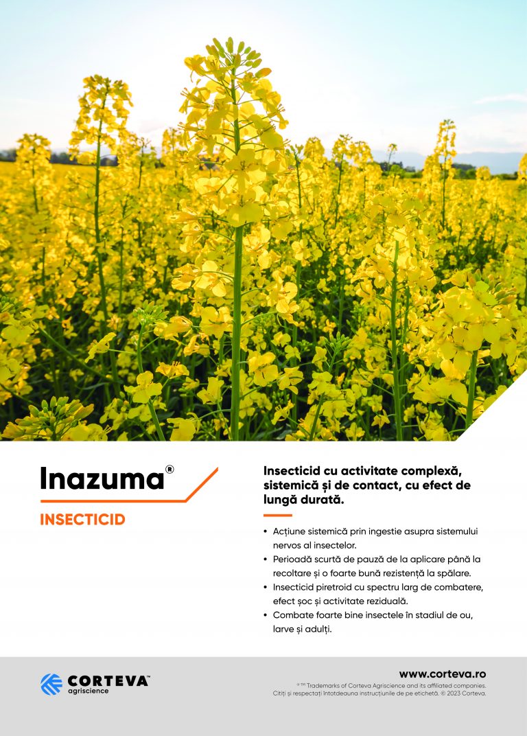 INAZUMA - solutia completa pentru combaterea daunatorilor din cultura de rapita - Sănătatea ...