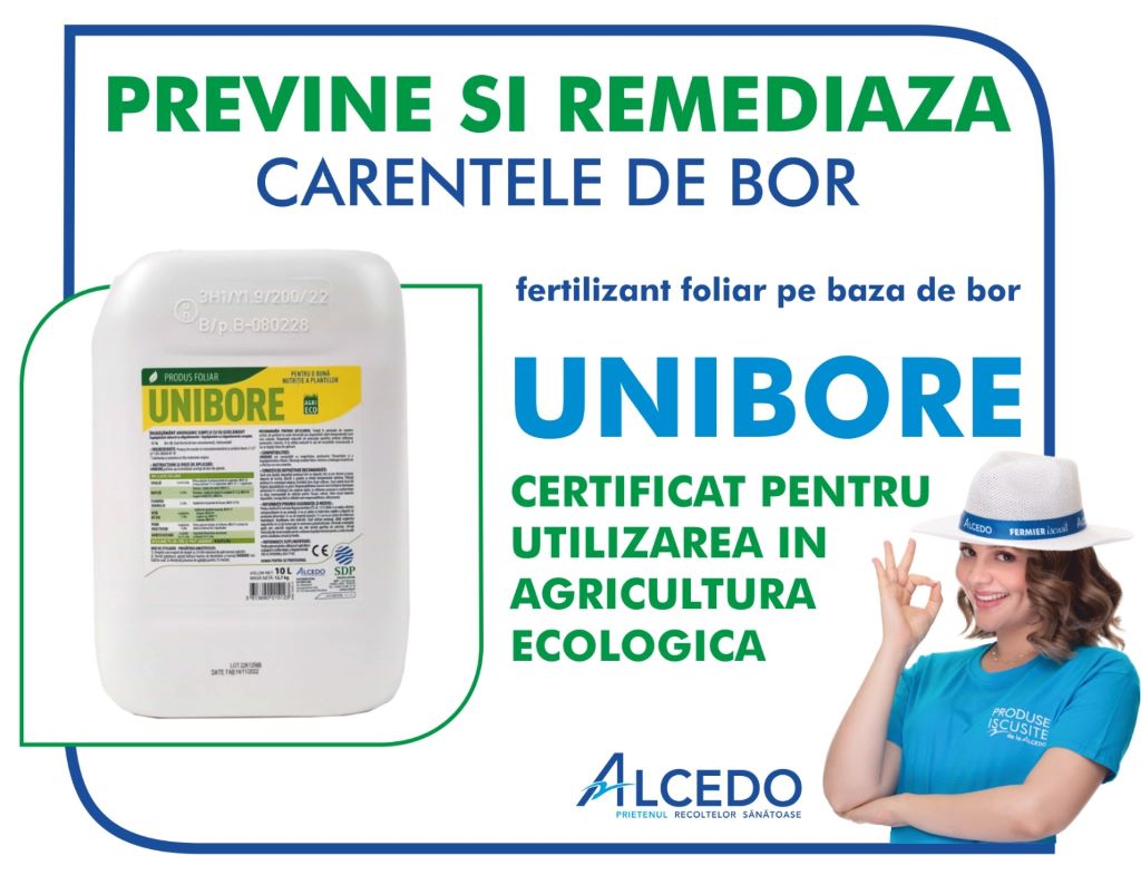 Borul este unul dintre cele mai importante microelemente pentru floarea ...