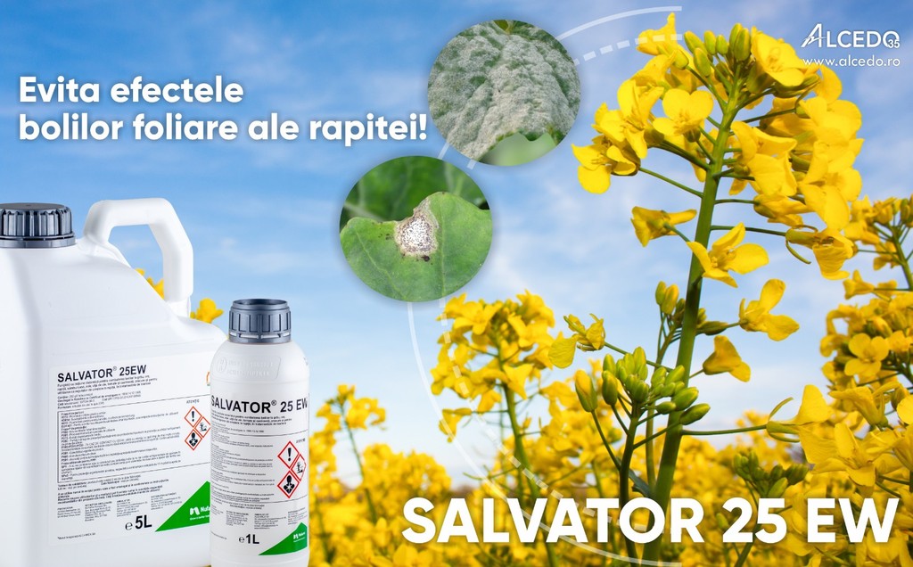 Cu ce fungicide combatem bolile foliare ale rapitei in toamna ...
